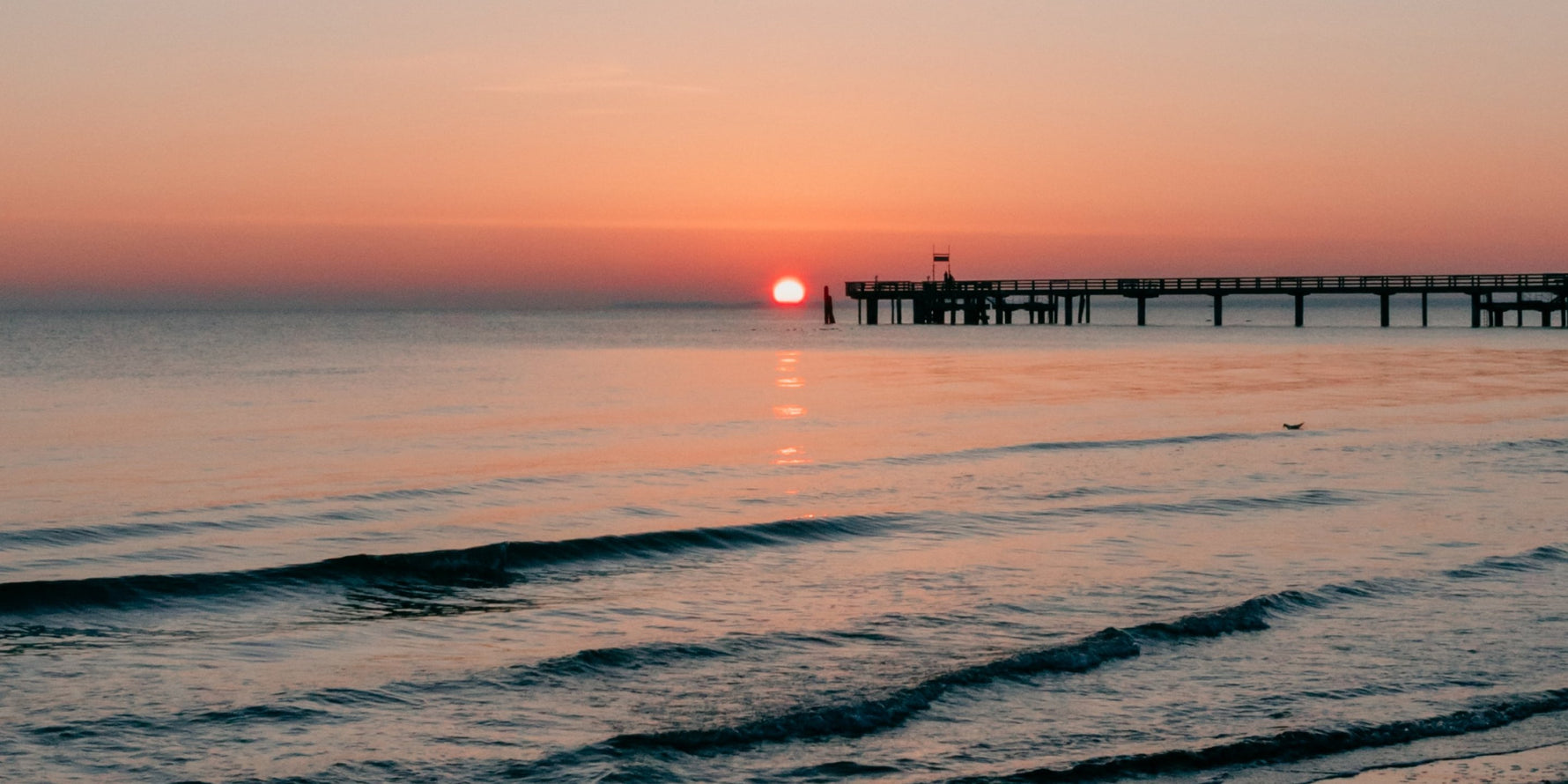 Dawn House Bed | Smart Bed | Built-in Health Monitoring